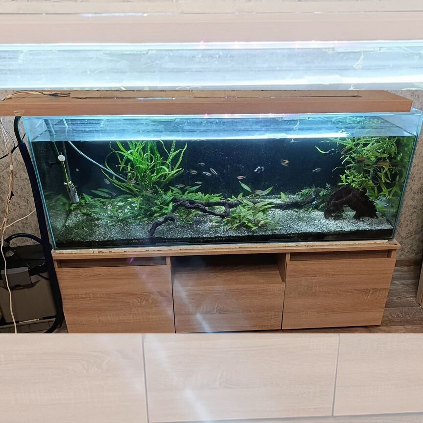 Аквариум с тумбой 260 литров