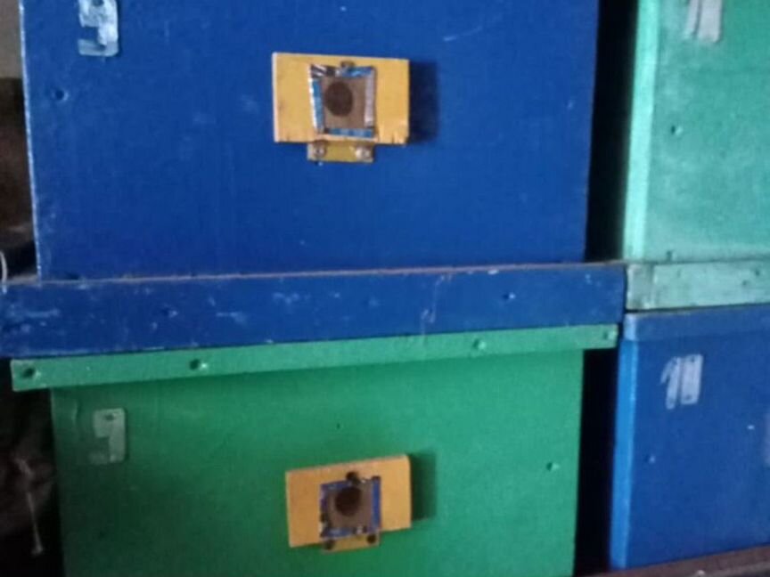 Ульи для пчел