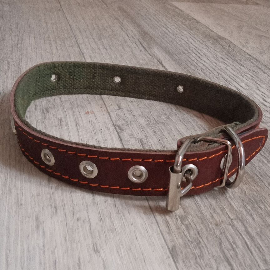 Ошейник для собак