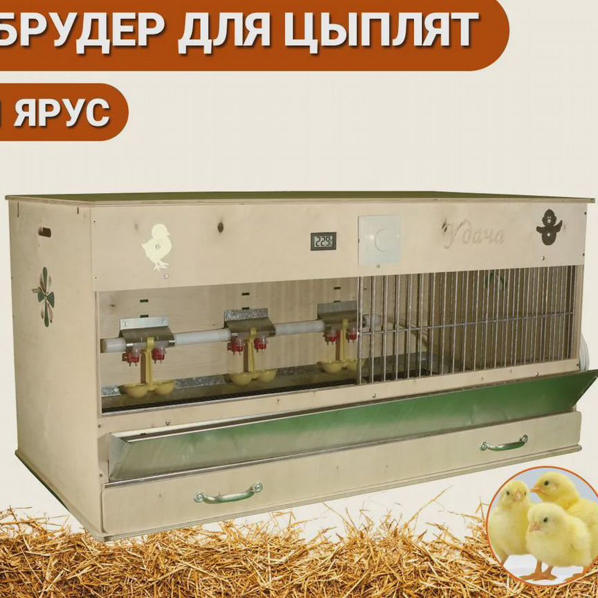 Брудер для цыплят до 200-250 суточных голов, бройл