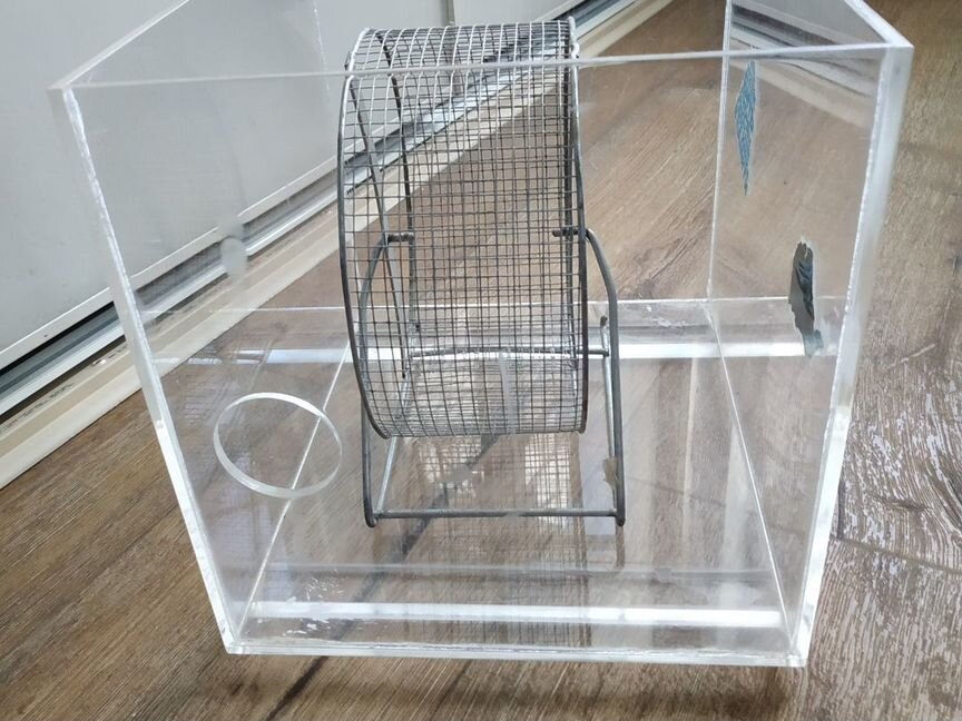 Террариум из оргстекла и беговое колесо для хомяка