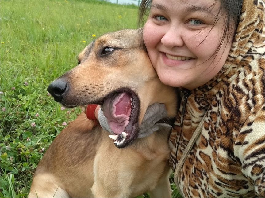 Собака в добрые руки, Данечка