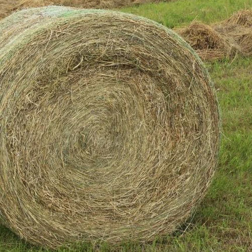 Сено в тюках
