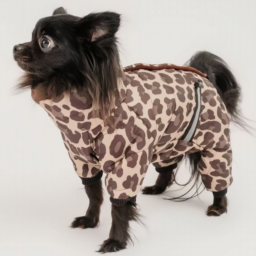 Одежда для собак мелких пород зима