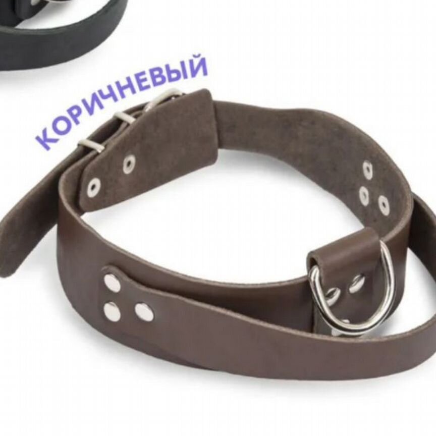 Ошейник для собак
