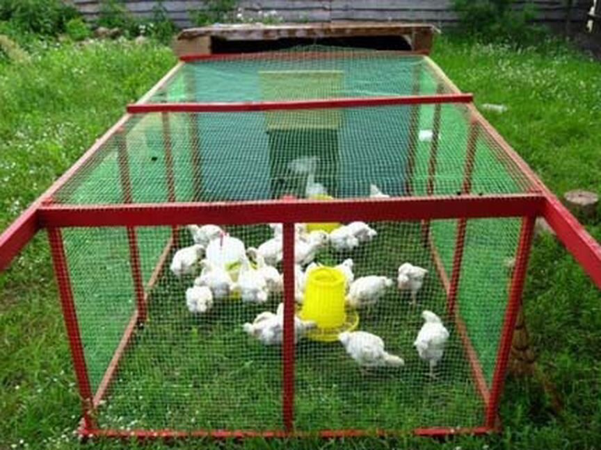 Сетка укрывная, вольерная для домашней птицы 4х5 м