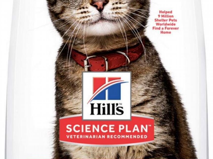 Корм для кошек Hills