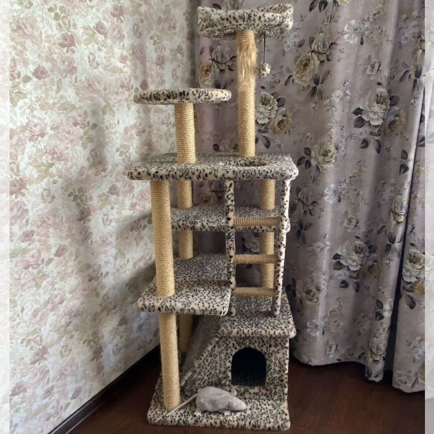 Когтеточка-лазилка