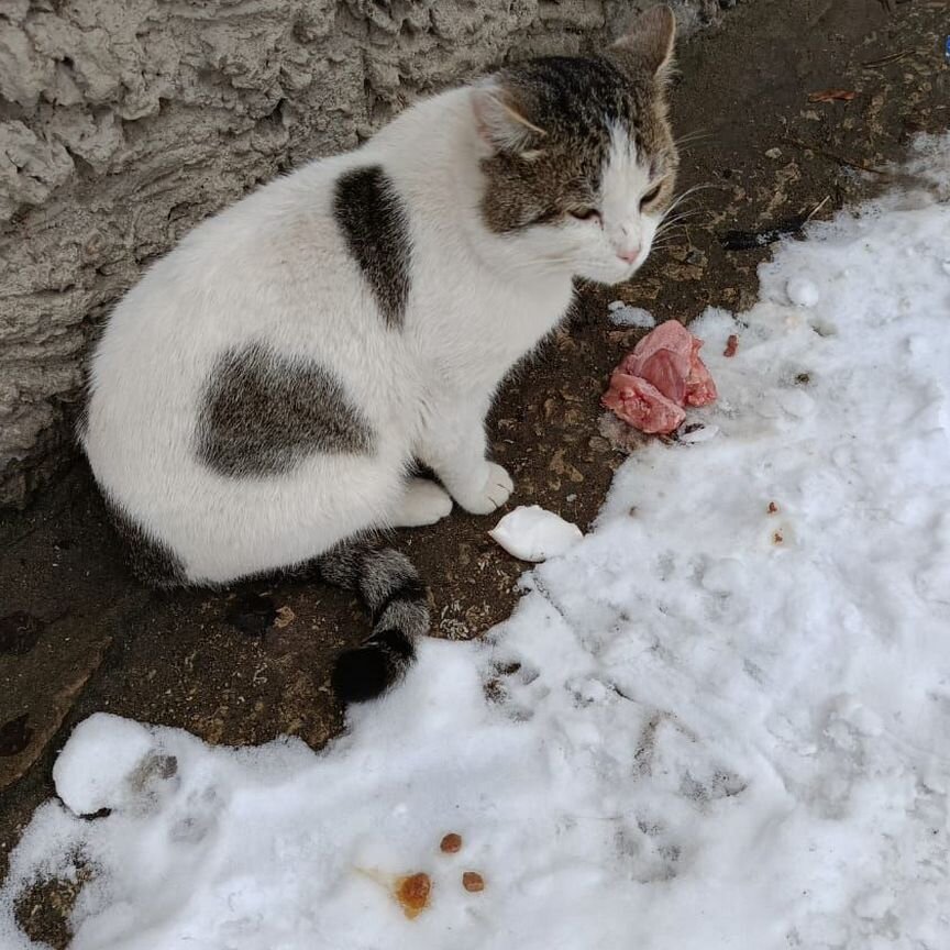 Оставили и уехали