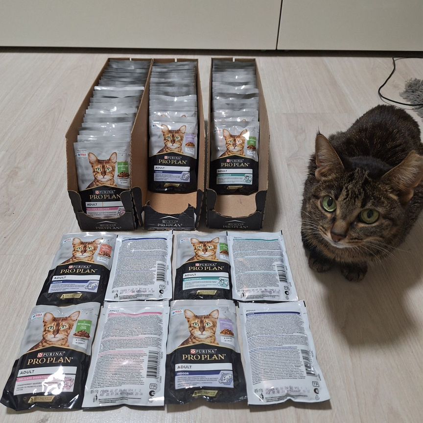 Корм для кошек pro Plan