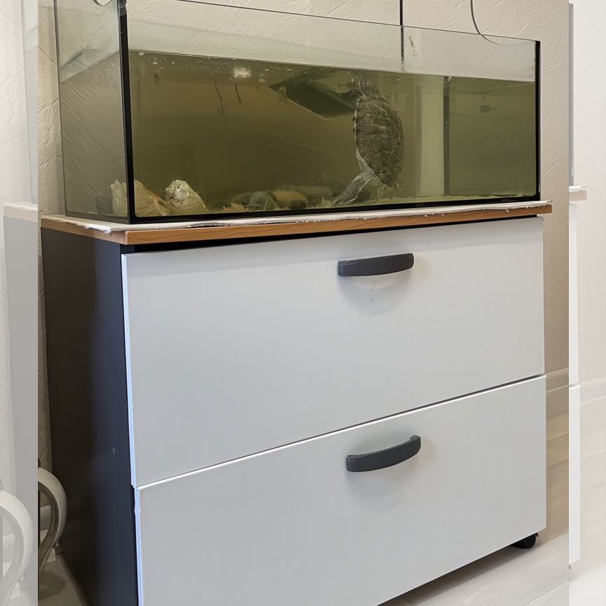 Аквариум для черепах