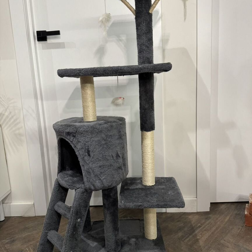 Когтеточка