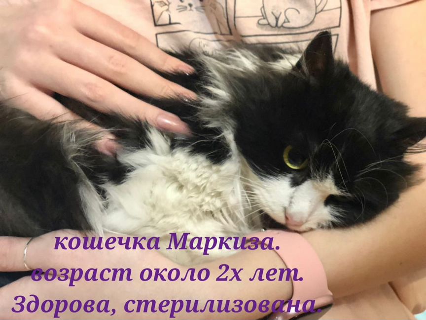 Неужели я опять пойду жить в хододный гараж