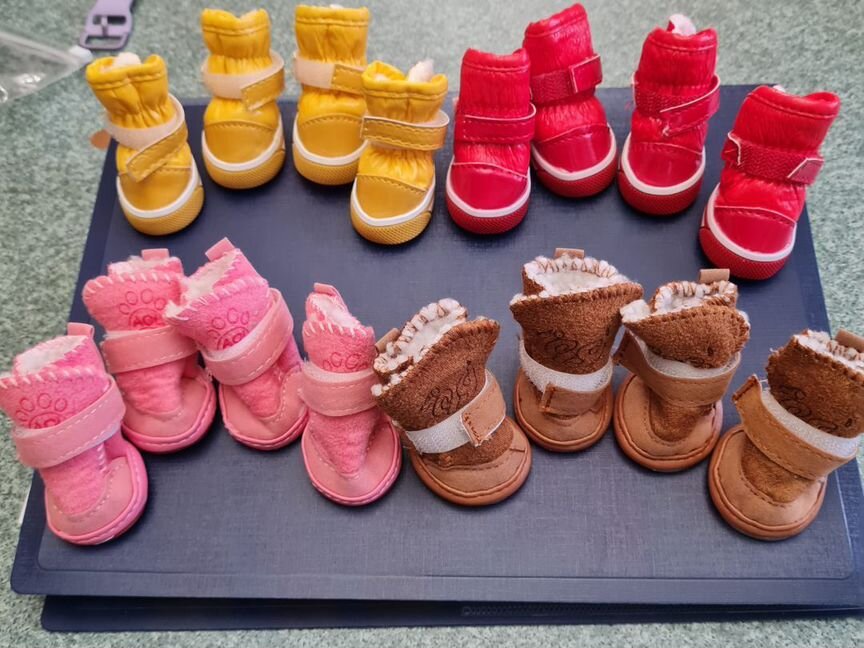 Обувь для маленьких собак