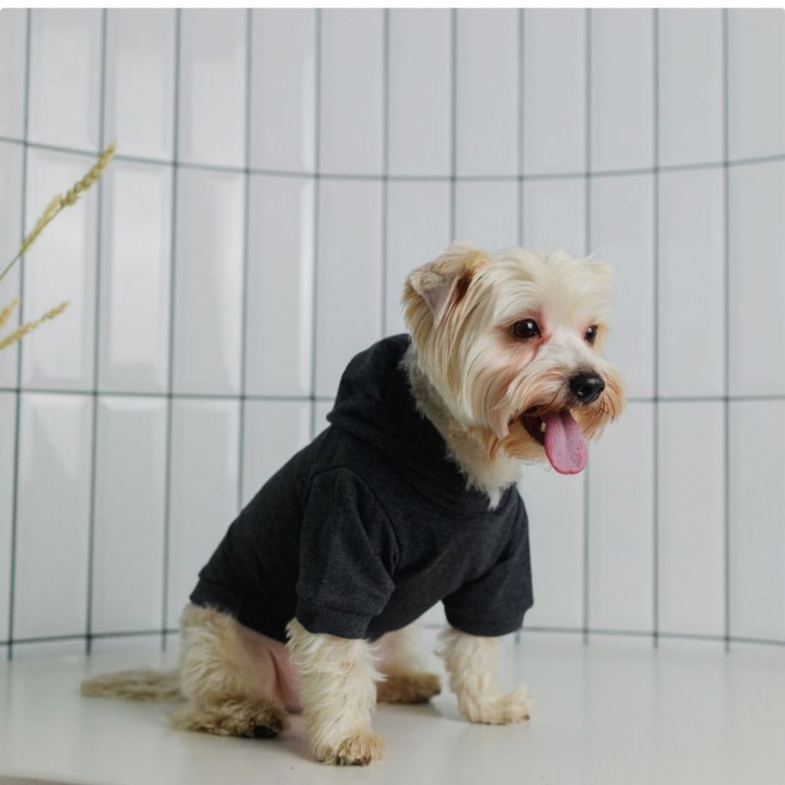 Толстовка однотонная для собак (футер)