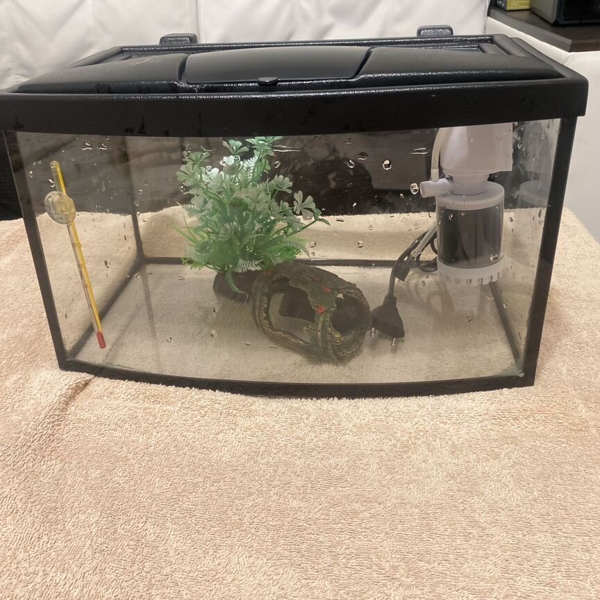 Аквариум в полной комплектации