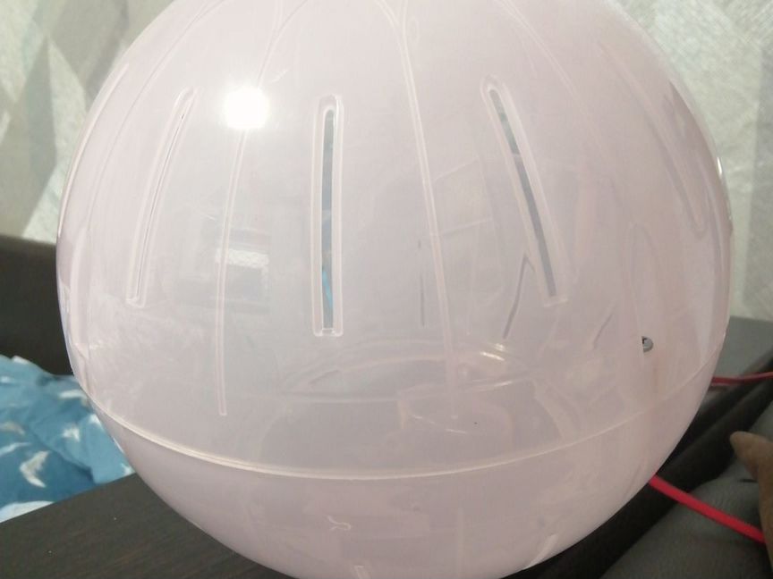 Прогулочный шар для шиншиллы