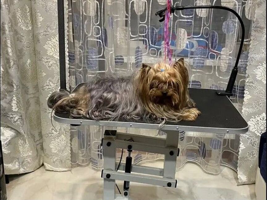 Стол для груминга с подъемником s4