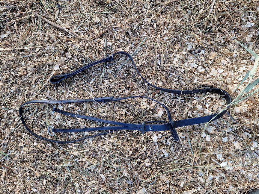 Мартингал для лошади