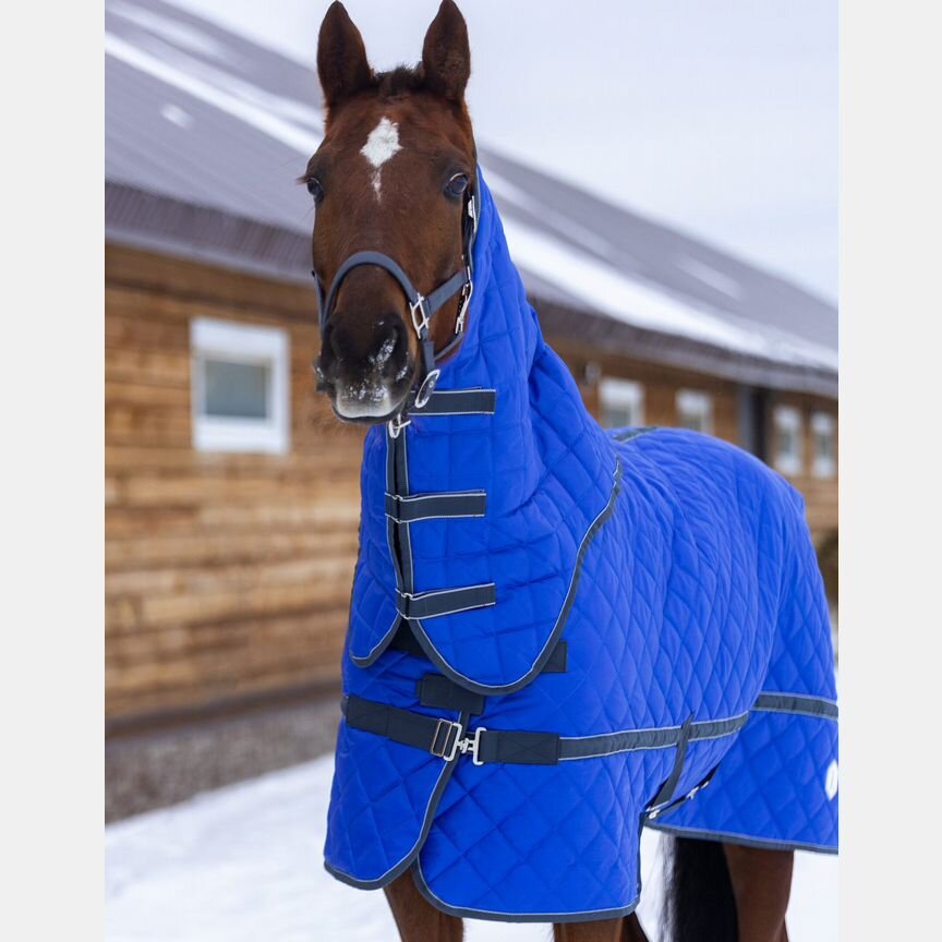 Попона стеганая денниковая зимняя с капором, 250 г