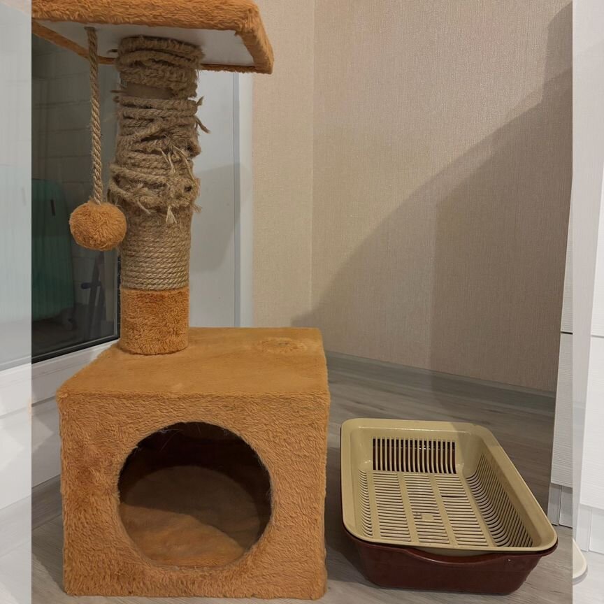 Домик для кошки   лоток