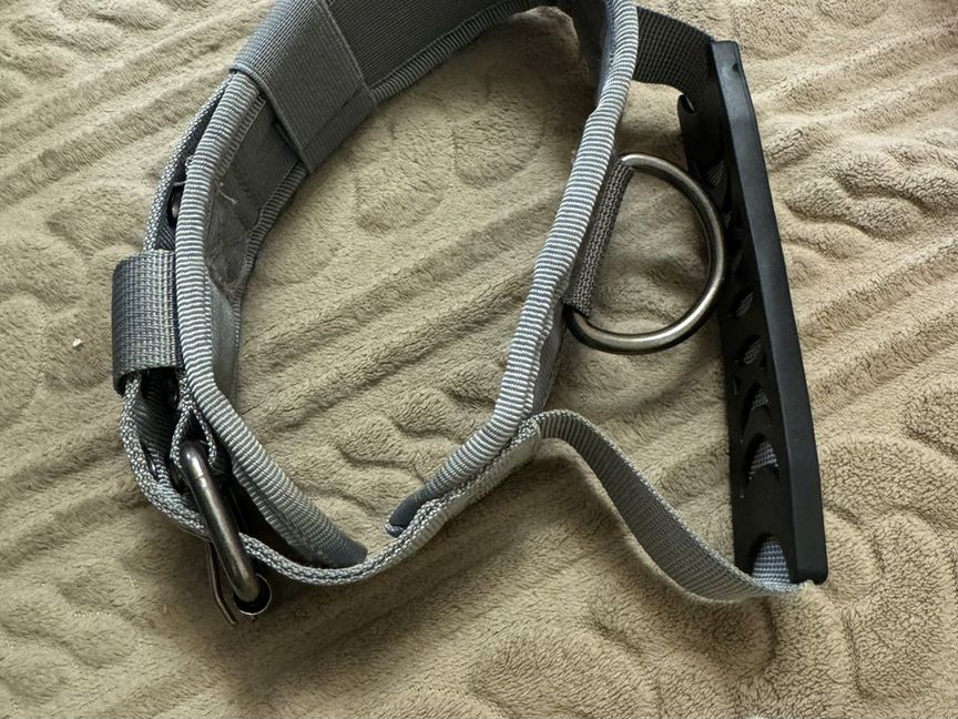 Ошейник для собак