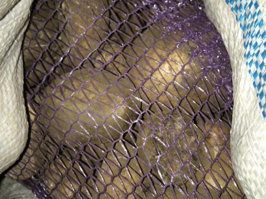 Кормовой картофель в мешках 30-35 кг