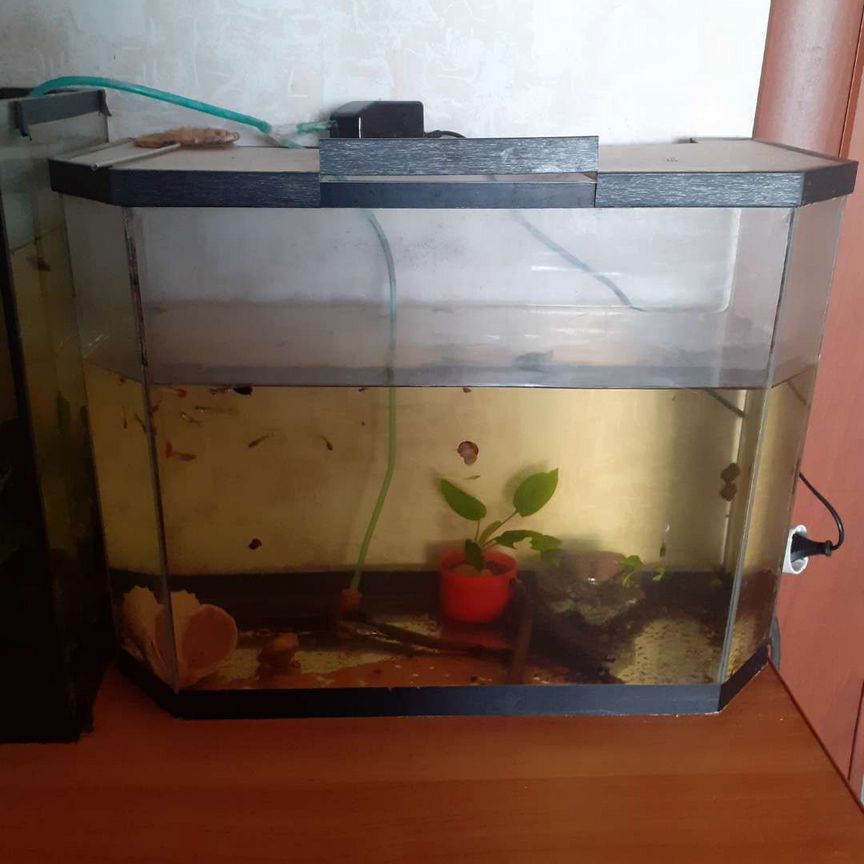 Аквариум