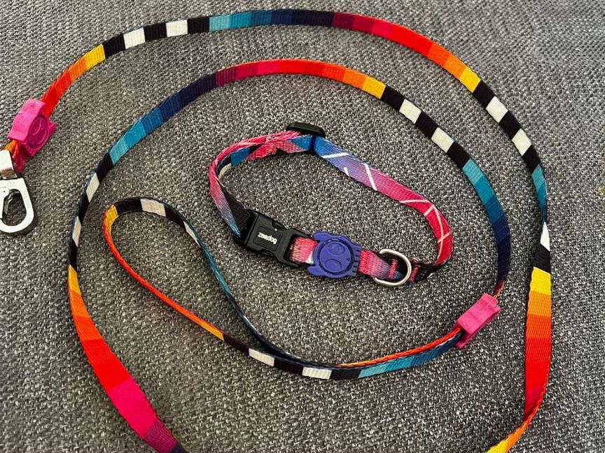 Ошейник и поводок для маленьких пород собак