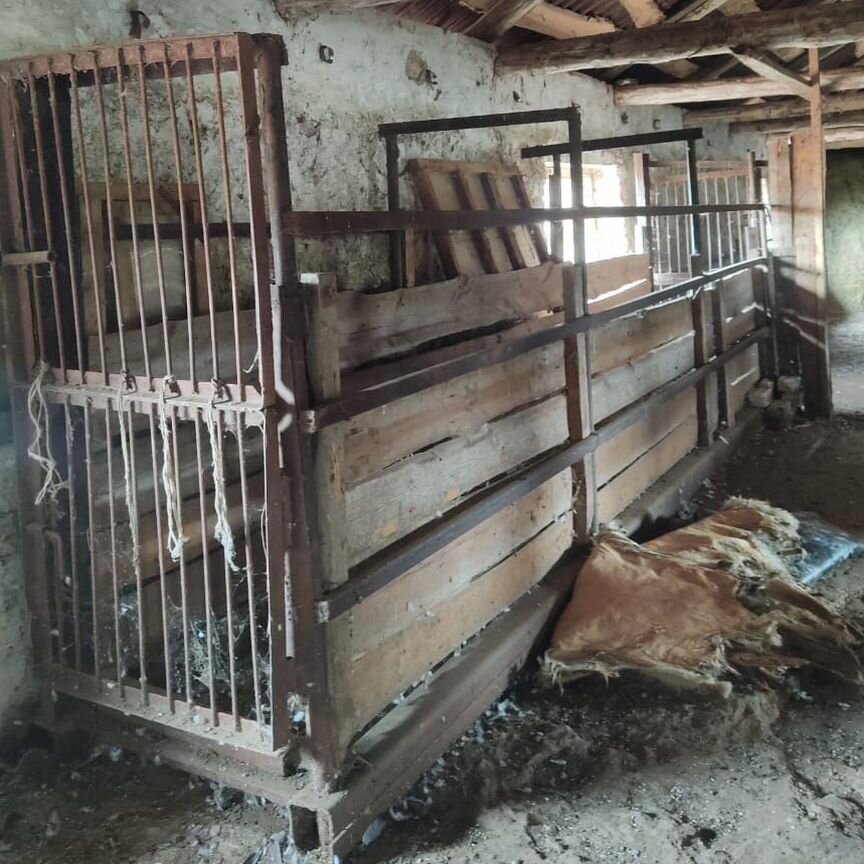 Раскол для животных