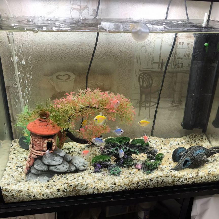 Аквариум 60л с тумбой