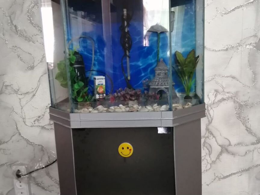 Аквариум понорамный с тумбой 65л.укомплектованный