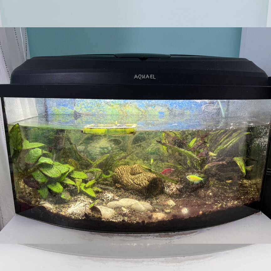 Аквариум Aquael 40л