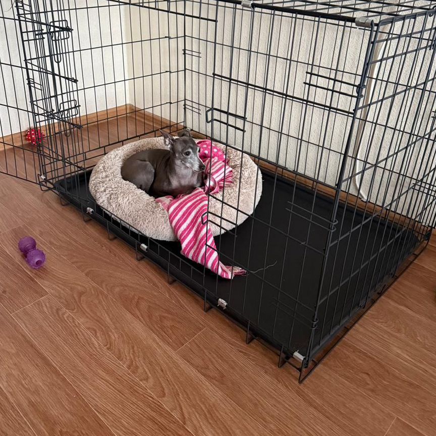 Клетка для собак