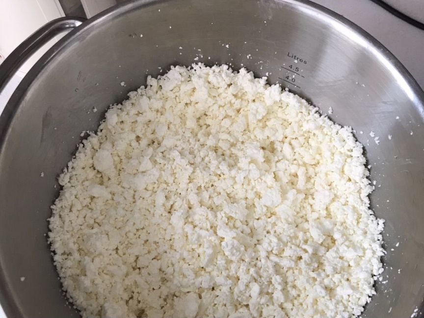 Творог для собак