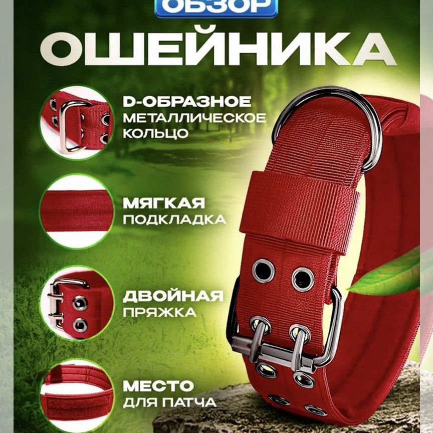 Ошейник для собак