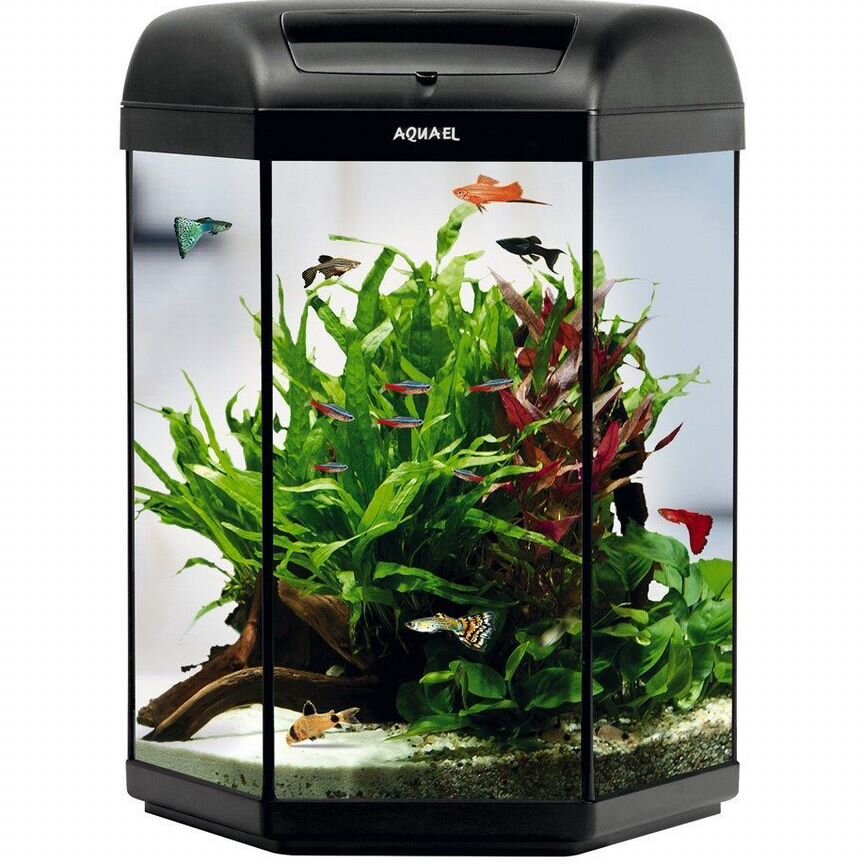Аквариум aquael hexa set 60
