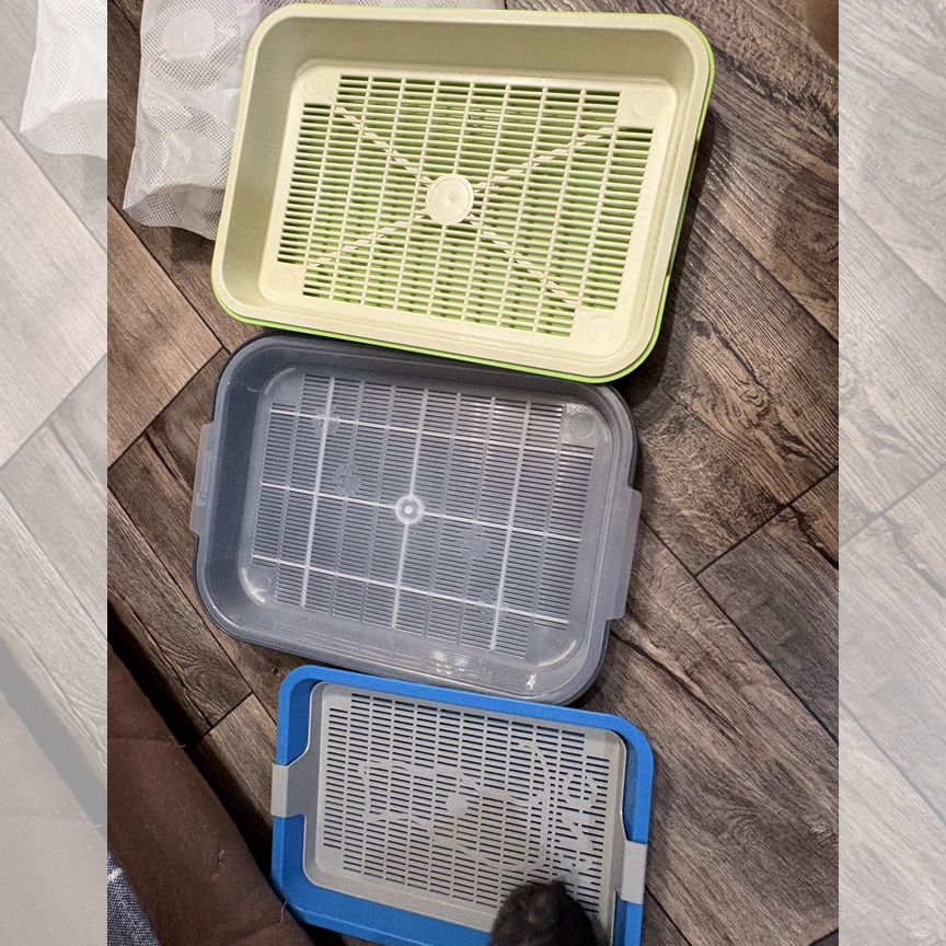 Лоток для кошек