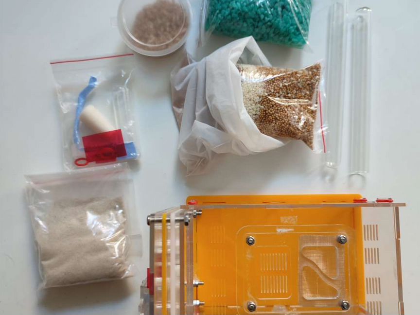 Муравьиная ферма