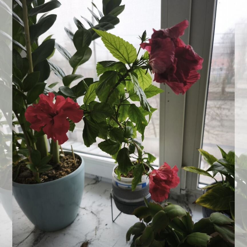 Наполнитель