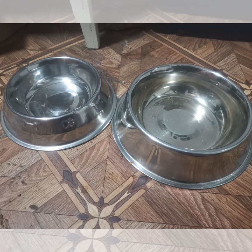 Миски для собак и кошек