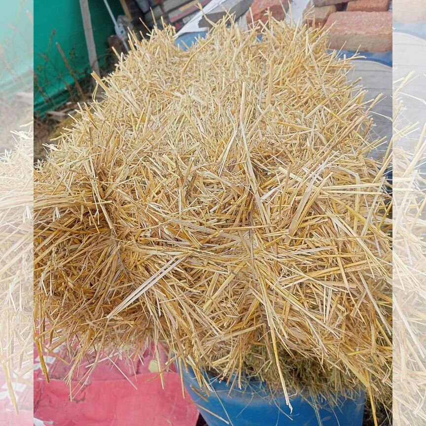 Солома и сено