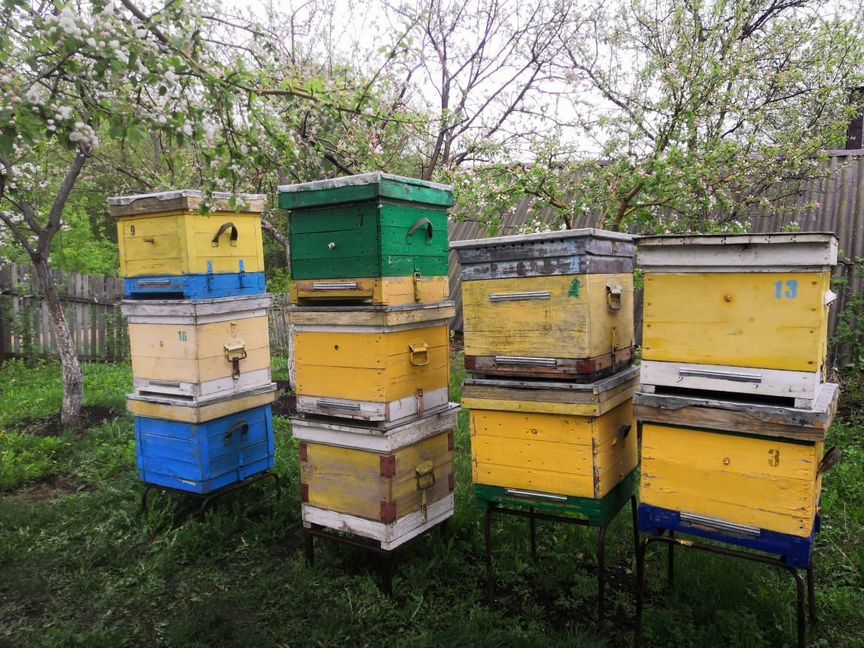 Улей, корпус, магазин