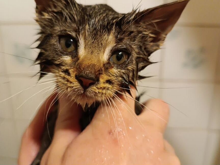 Ждём своего человека