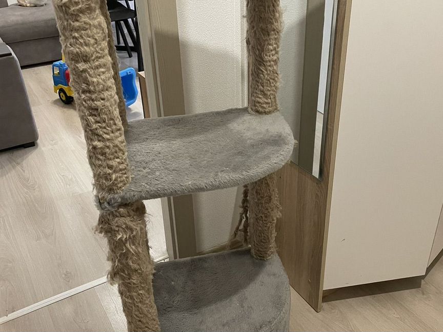 Когтеточка