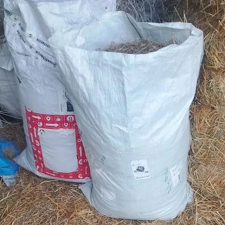 Корм для кур