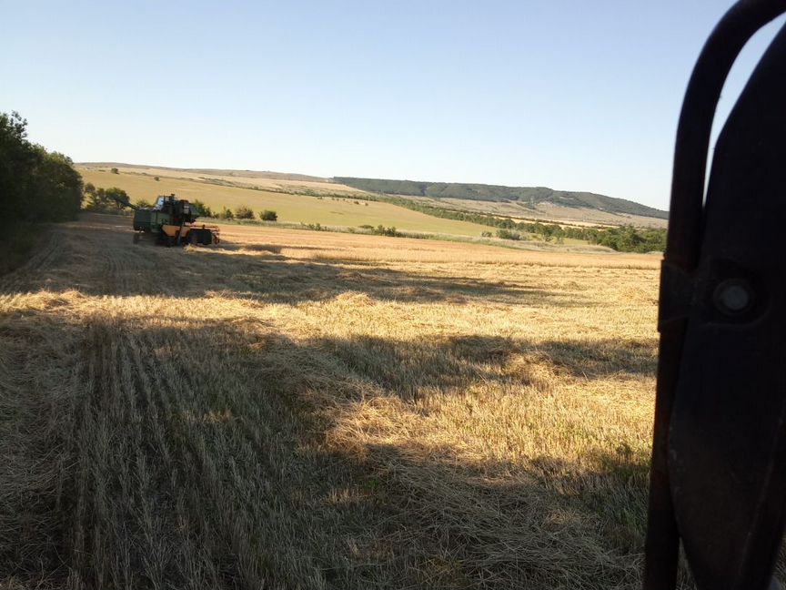 Солома пшеничная и ячменная квадратные тюки