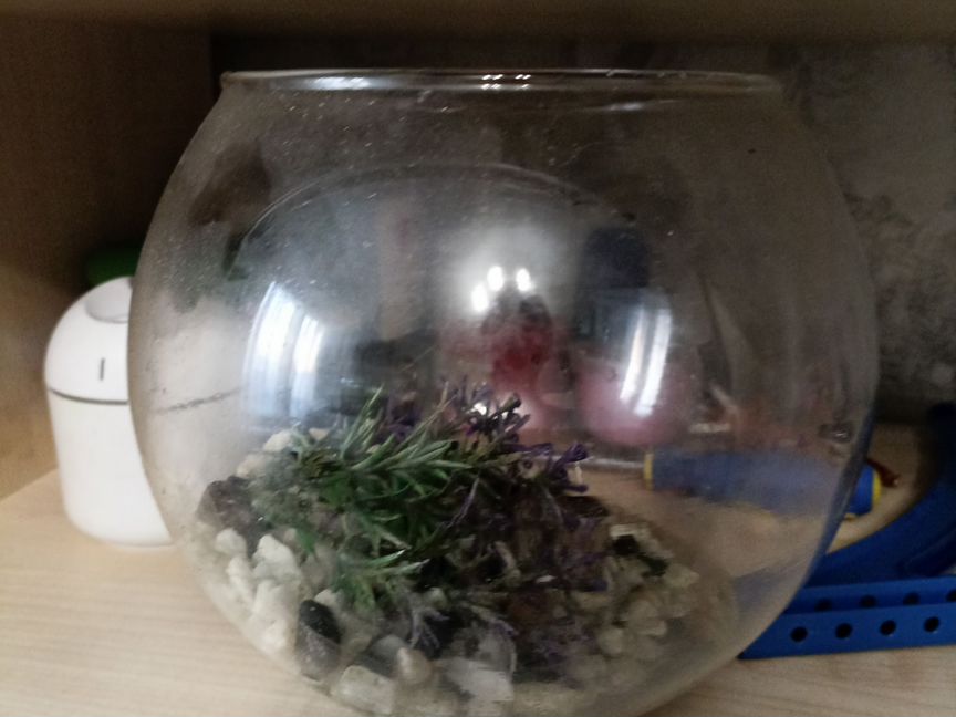 Аквариум 2 литровый под питушка