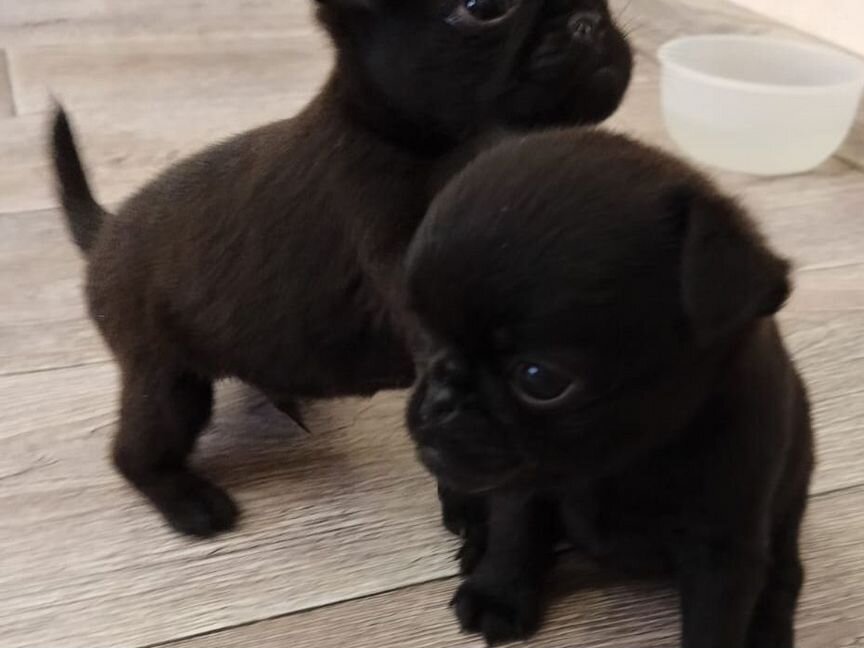 Мальчик и девочка