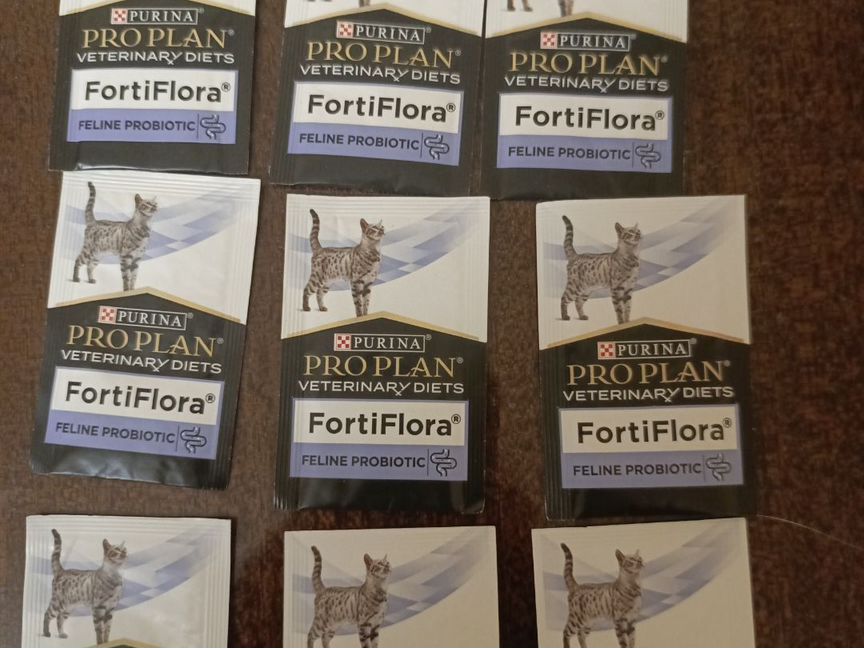 Фортифлора для кошек. FortiFlora